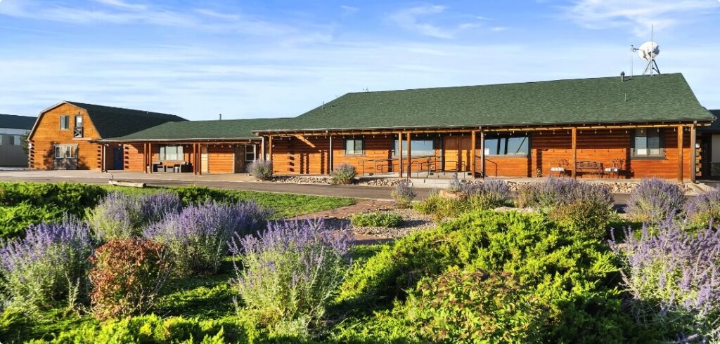 Meth Addiction and Skin Problems | The Raleigh House